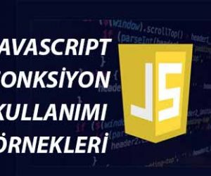 Javascript Fonksiyon Kullanımı, Fonksiyon Örnekleri